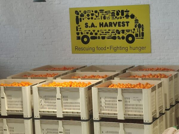 The Great Mandarin Movement: Indigo Fruit Farming and Stellenpak ...