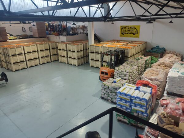 The Great Mandarin Movement: Indigo Fruit Farming and Stellenpak ...