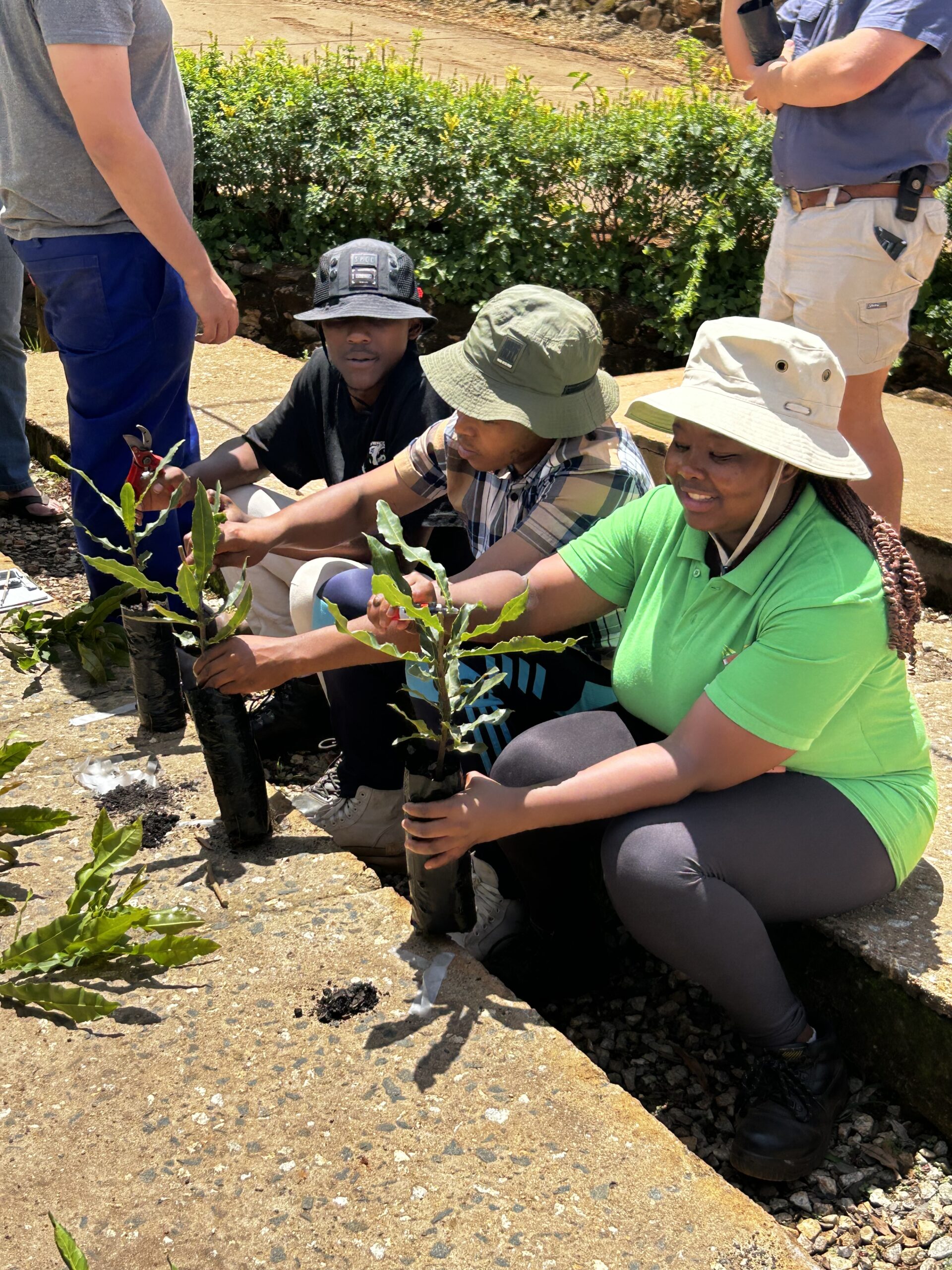 Naspers Labs-backed SA Harvest Programme Empowers Youth with ...