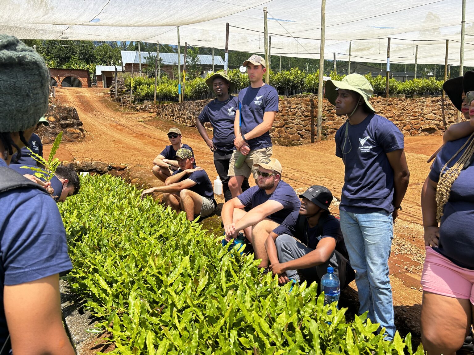 Naspers Labs-backed SA Harvest Programme Empowers Youth with ...