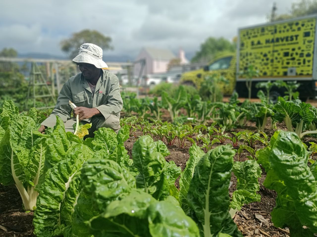 SA Harvest Launches Virtual Food Pantry for GivingTuesday 2024 - SA Harvest